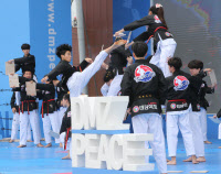 [포토]'2019 DMZ 평화대축제'서 펼친 태권도 격파 시범